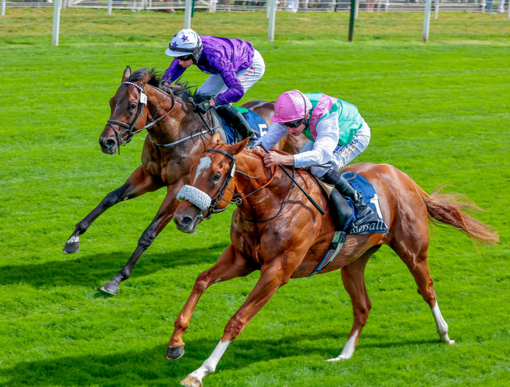 Chaldean to shuttle to Cambridge Stud, NZ for the 2024 Southern ...