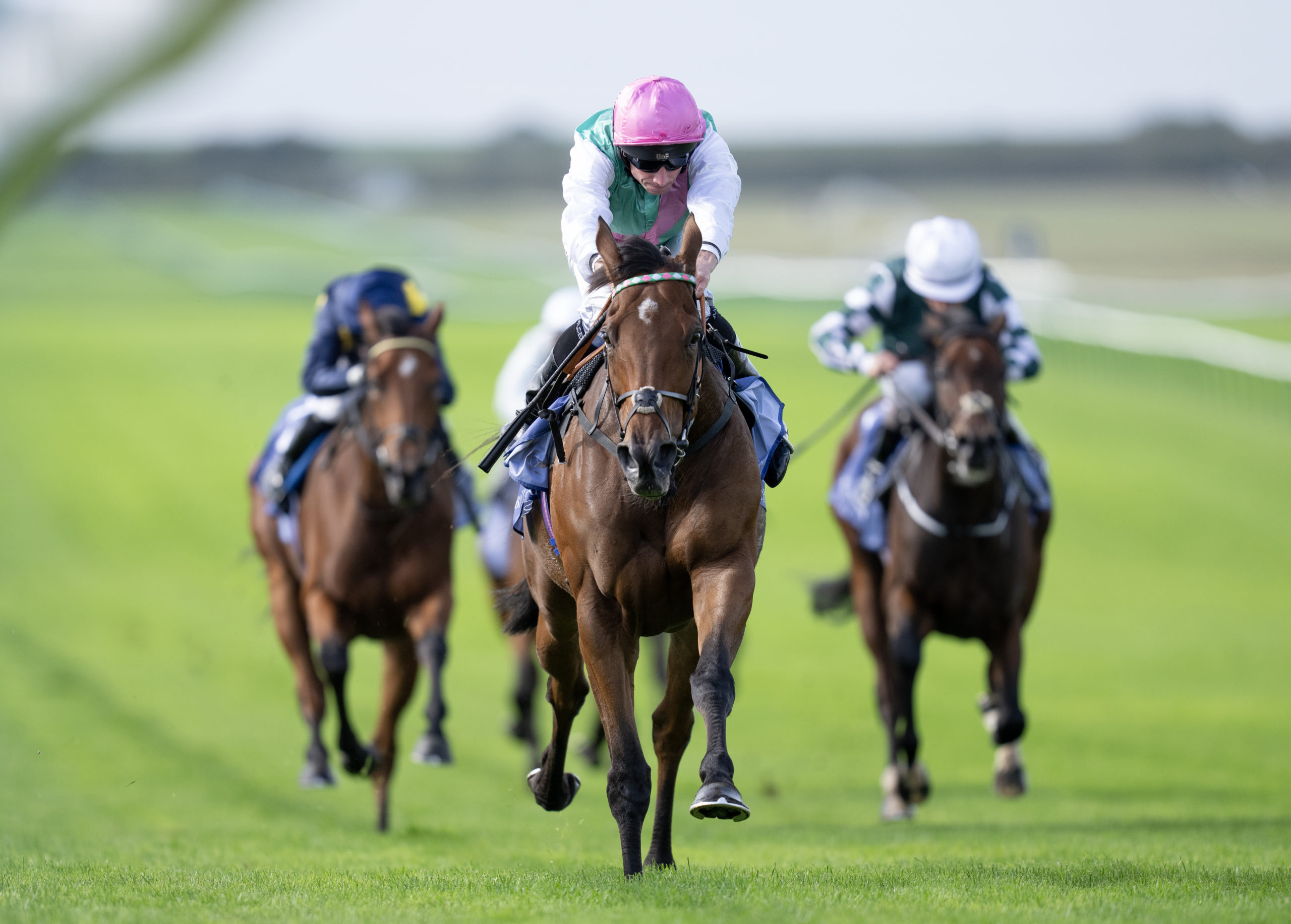 A Frankel one-two in the Group 3 Princess Royal - Stallions