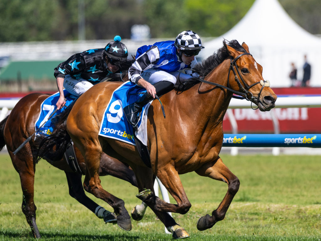 Frankel's Herman Hesse powers to Caulfield win - Stallions