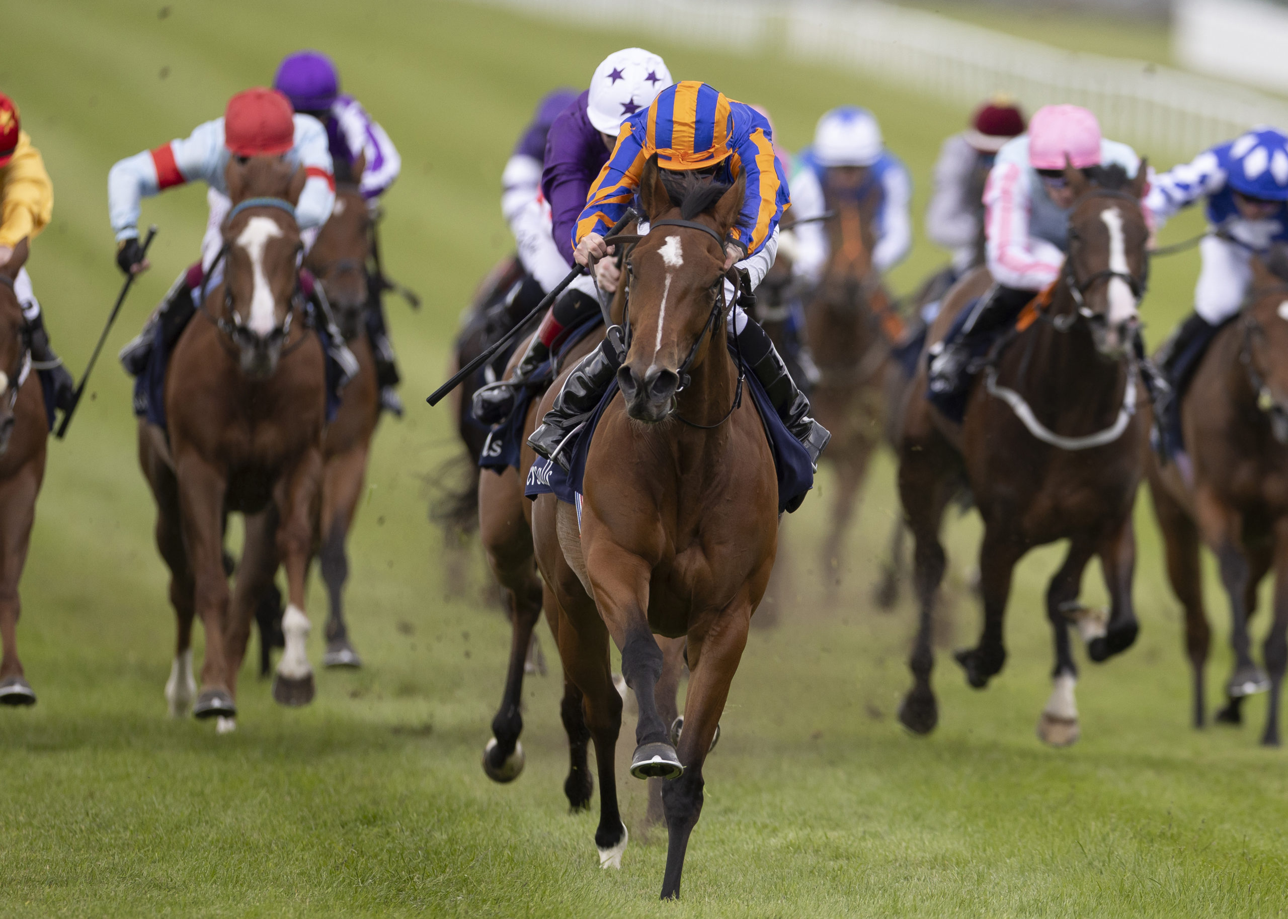 Lake Victoria scorches back to top form - Stallions
