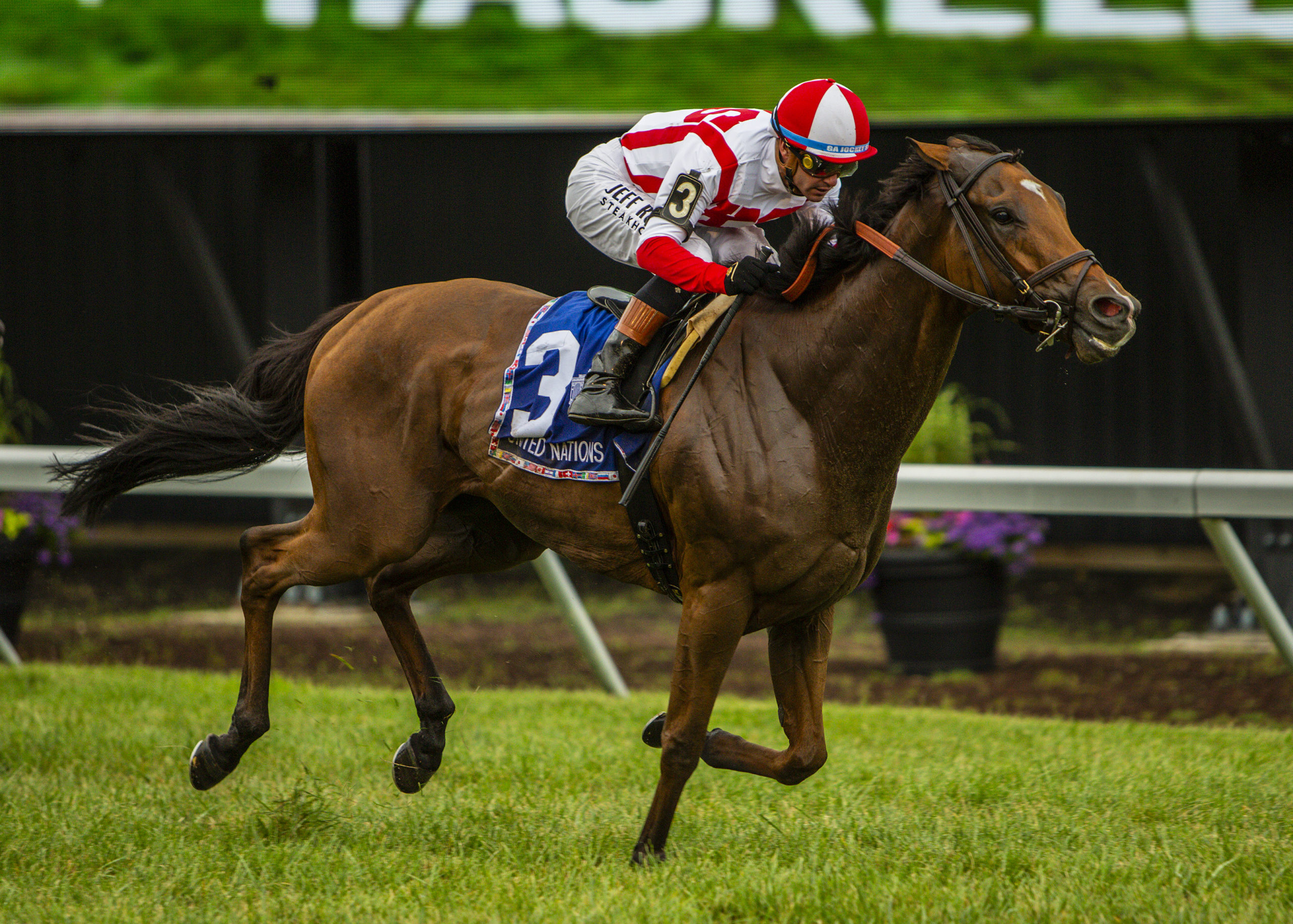 Three Group winners for Kingman this weekend - Stallions