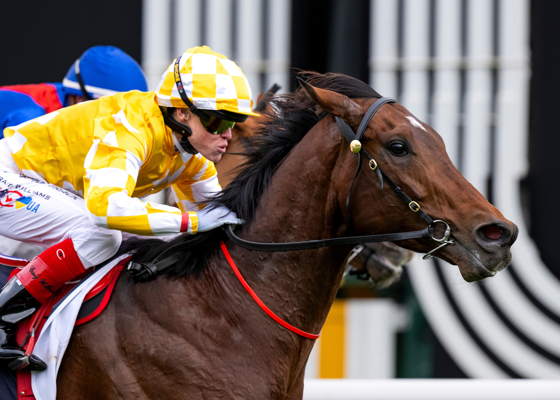 Sir Delius becomes Frankel's 40th Group 1 winner - Stallions