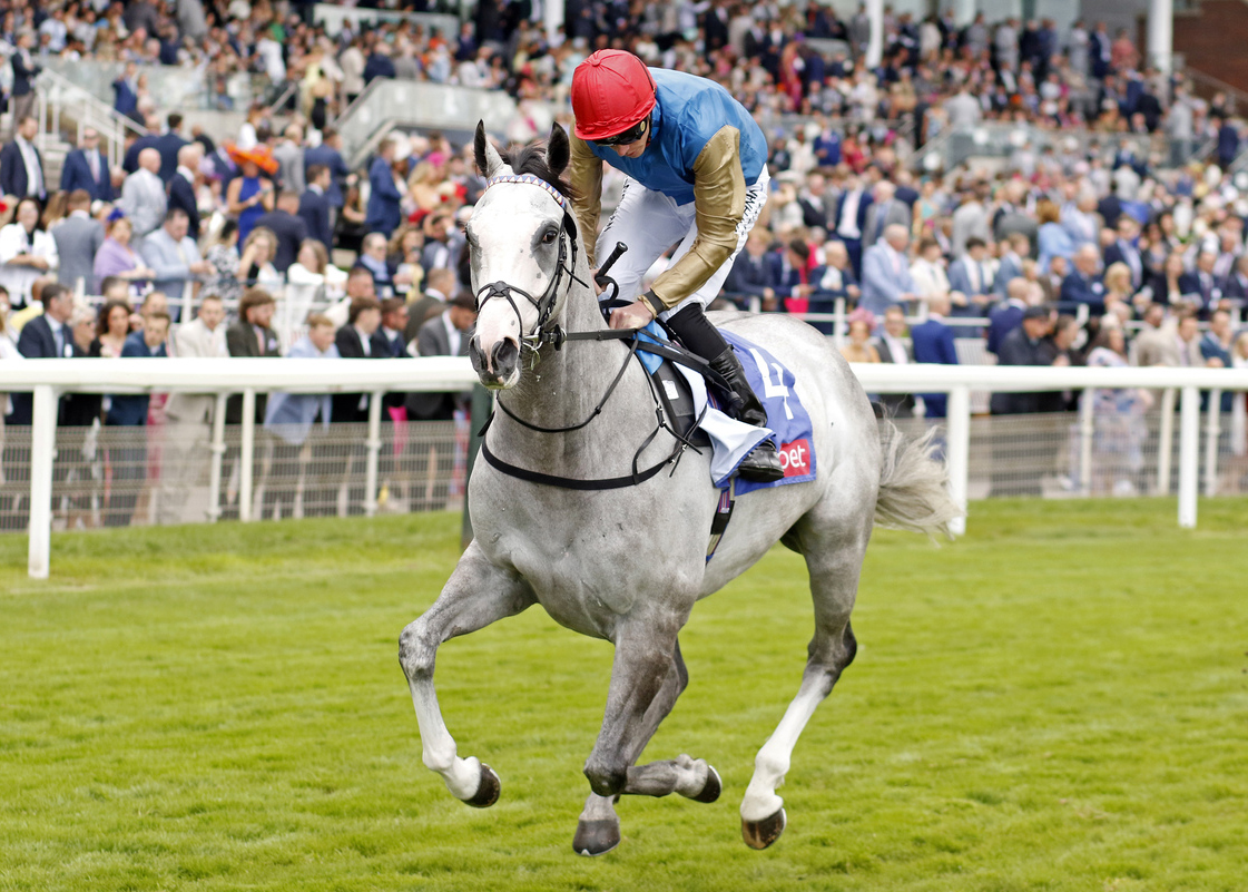 Graded win for Haunted Dream on his North American debut - Stallions