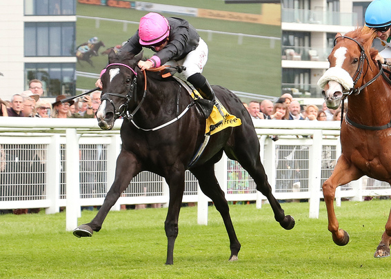 Bated Breath's First Instinct takes the Group 3 World Trophy - Stallions